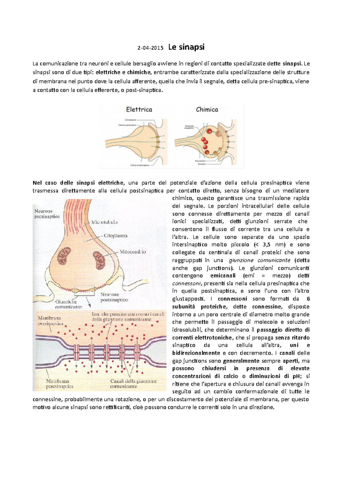 Fisiologia 3 - Appunti Sinapsi - 2-04-2015 Le sinapsi La comunicazione ...