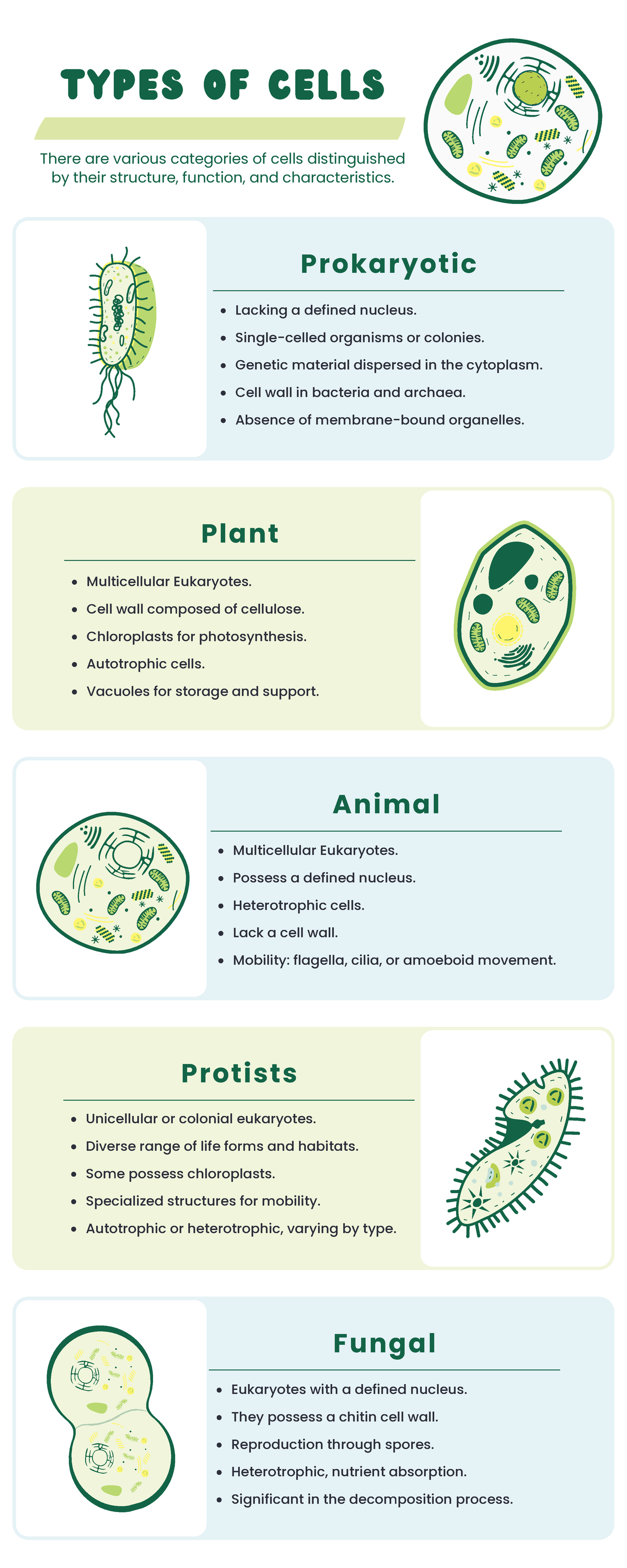Types of Cells infographic in green white blue illustrative style ...
