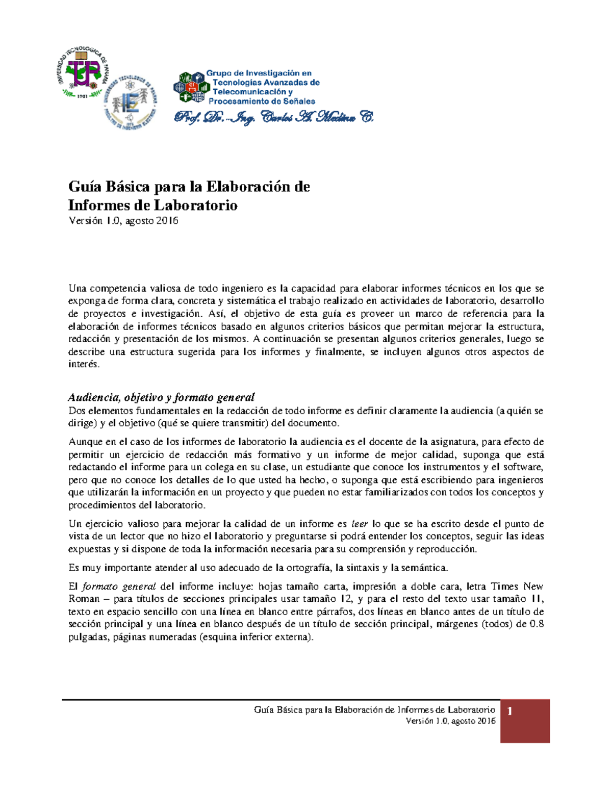 Recomendaciones para informes de lab - Guía Básica para la Elaboración de Informes de ...