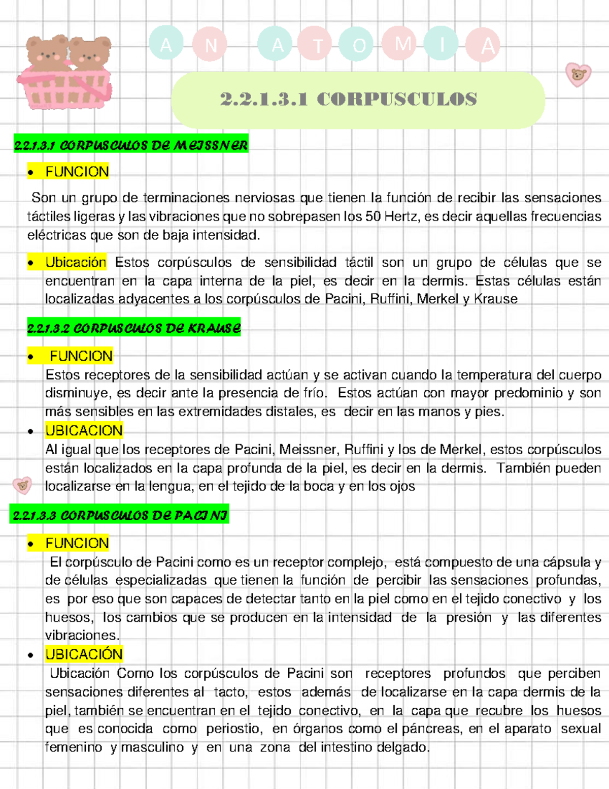 Anatomia 5 - A N A T O M l A 2.2.1.3 CORPUSCULOS 2.2.1.3 CORPUSCULOS DE ...