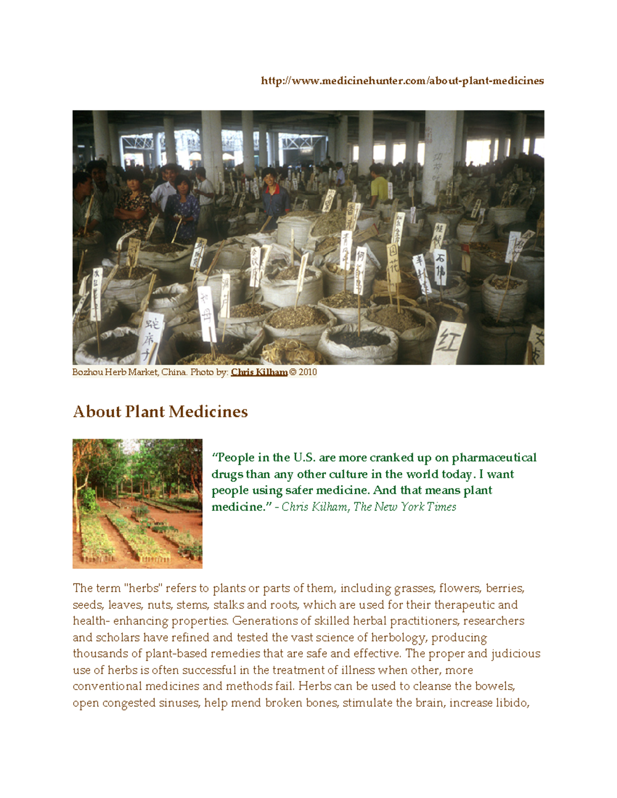 Plant medicines - Unit 2 - medicinehunter/about-plant-medicines Bozhou ...