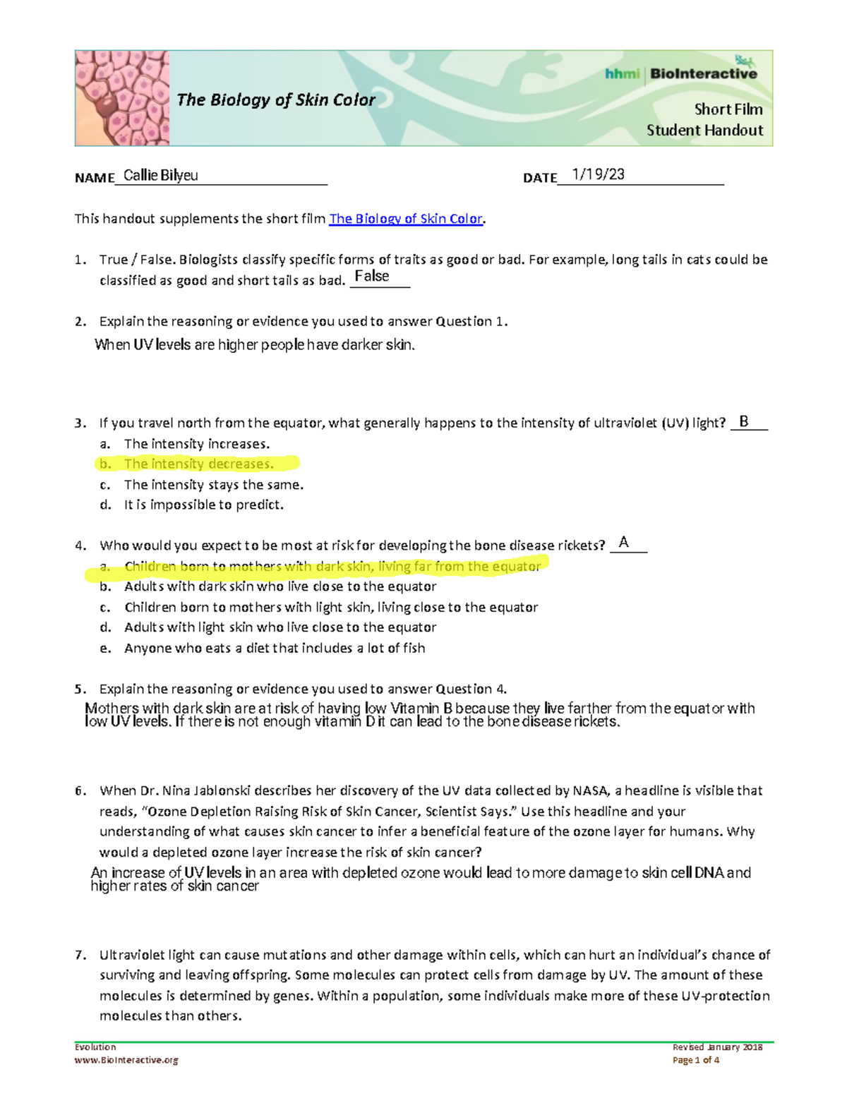 Kami Export - Callie Bilyeu - Biology of Skin Color - Student Handout ...