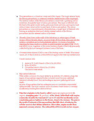 Anterior Abdominal Wall - Bony Landmarks o Anterior Superior iliac ...