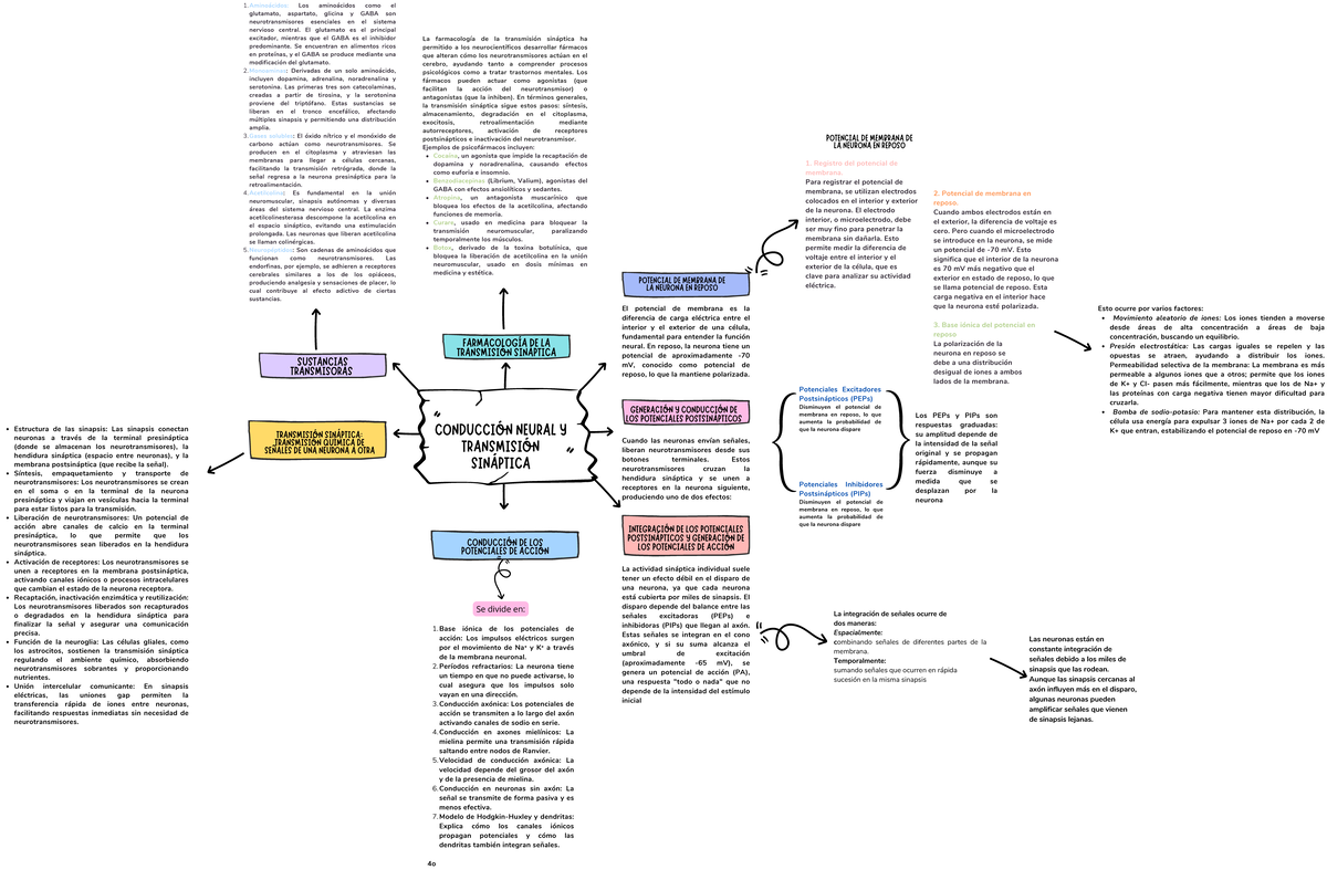 Mapa Conceptual 4 cap - CONDUCCIÓN NEURAL Y TRANSMISIÓN SINÁPTICA SUSTANCIAS TRANSMISORAS ...