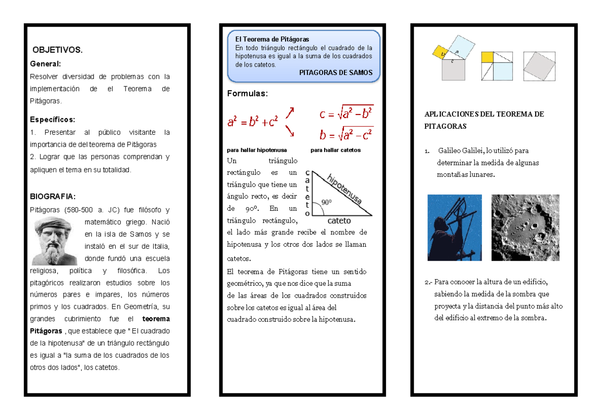 Triptico Pitagoras - Separatas Biologia 5 - OBJETIVOS. General: Resolver diversidad de problemas ...