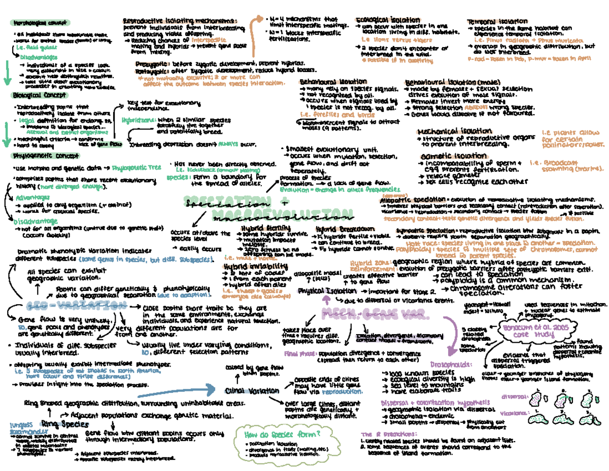 Chapter 18 Summary Mind Map - 03 55 140 - Studocu