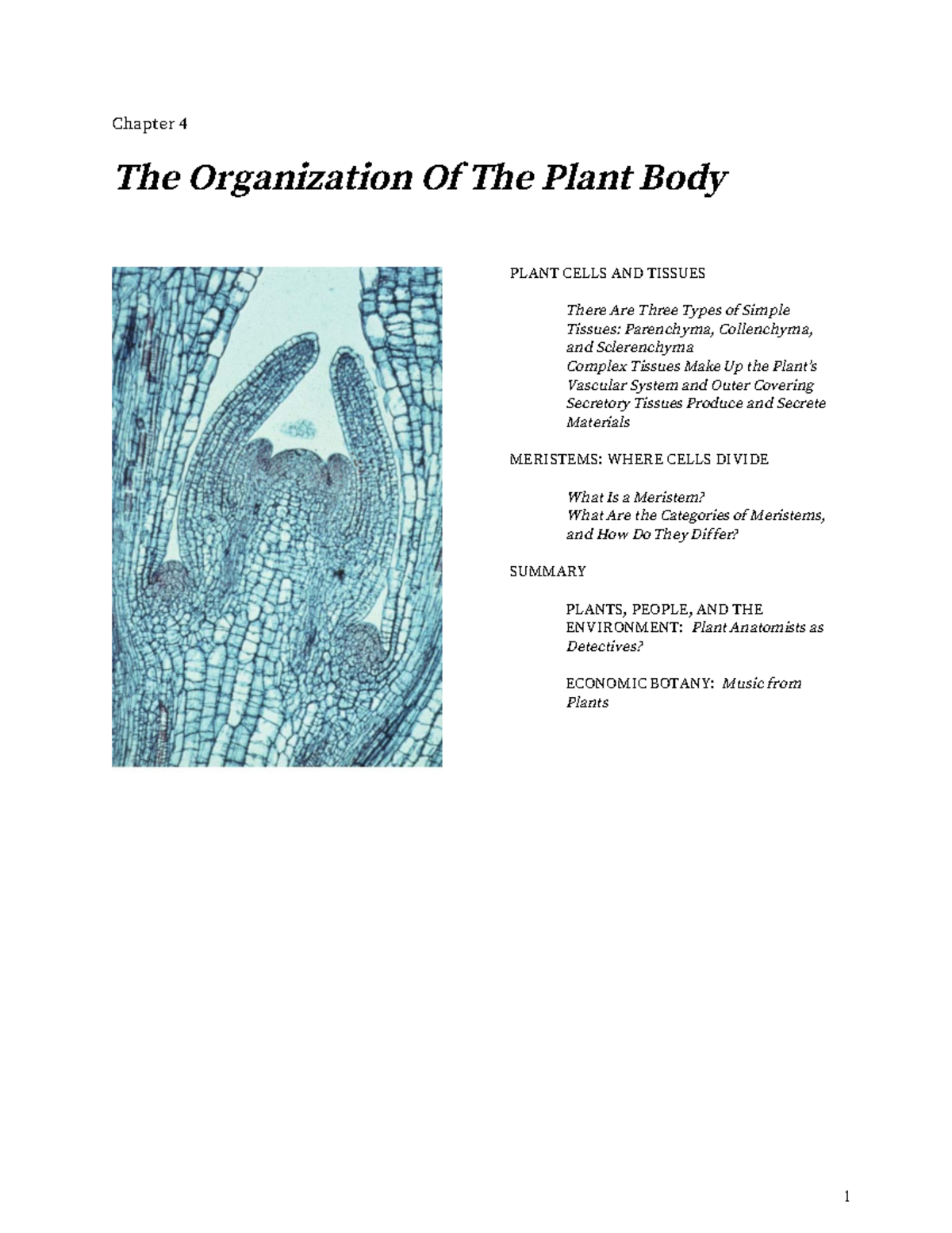 Anatomy pdf - Chapter 4 The Organization Of The Plant Body PLANT CELLS ...