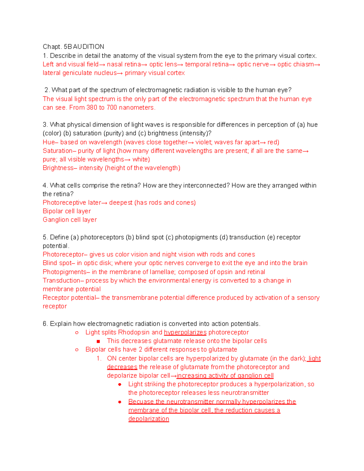 BBB 5b Visual Questions Part 1 - Chapt. 5B AUDITION Describe in detail ...