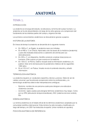 Orella externa, Orella mitjana, Orella interna - L’ORELLA Diferenciem ...