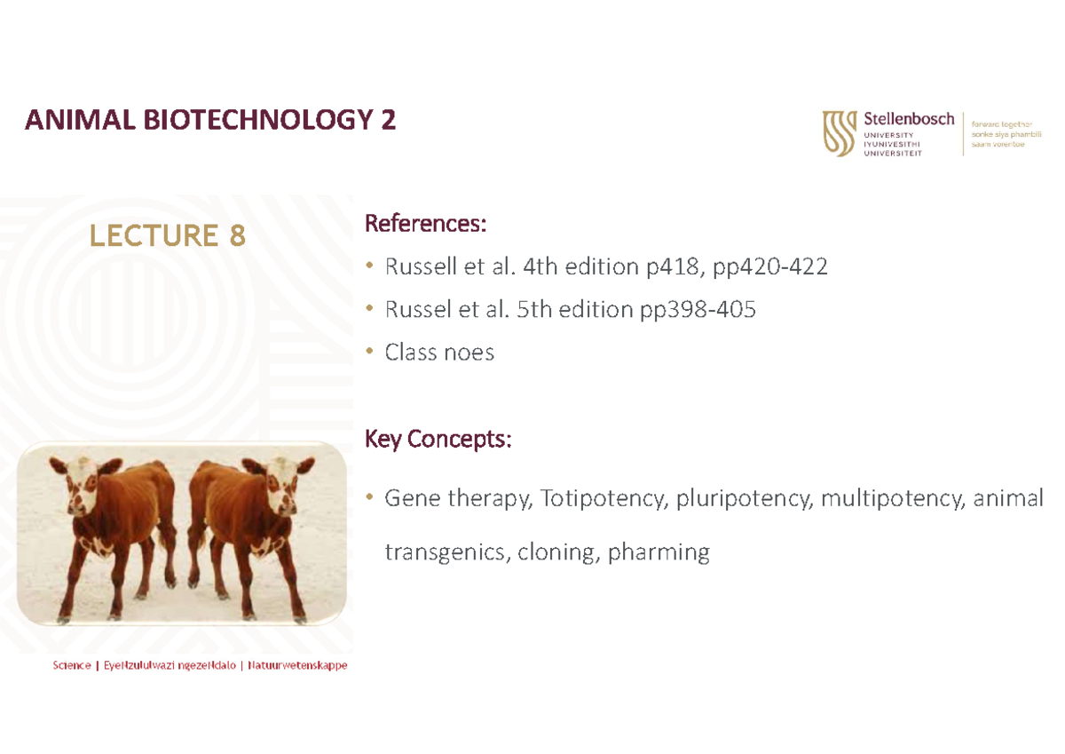 Lecture 8 Animal Biotechnology 2 - LECTURE 8 References: • Russell et ...