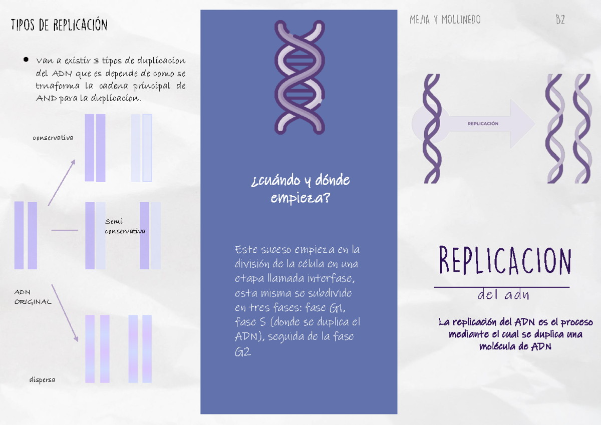 Triptico infor aplicada - øcu·ndo y dÛnde empieza? . del adn La replicaciÛn del ADN es el ...
