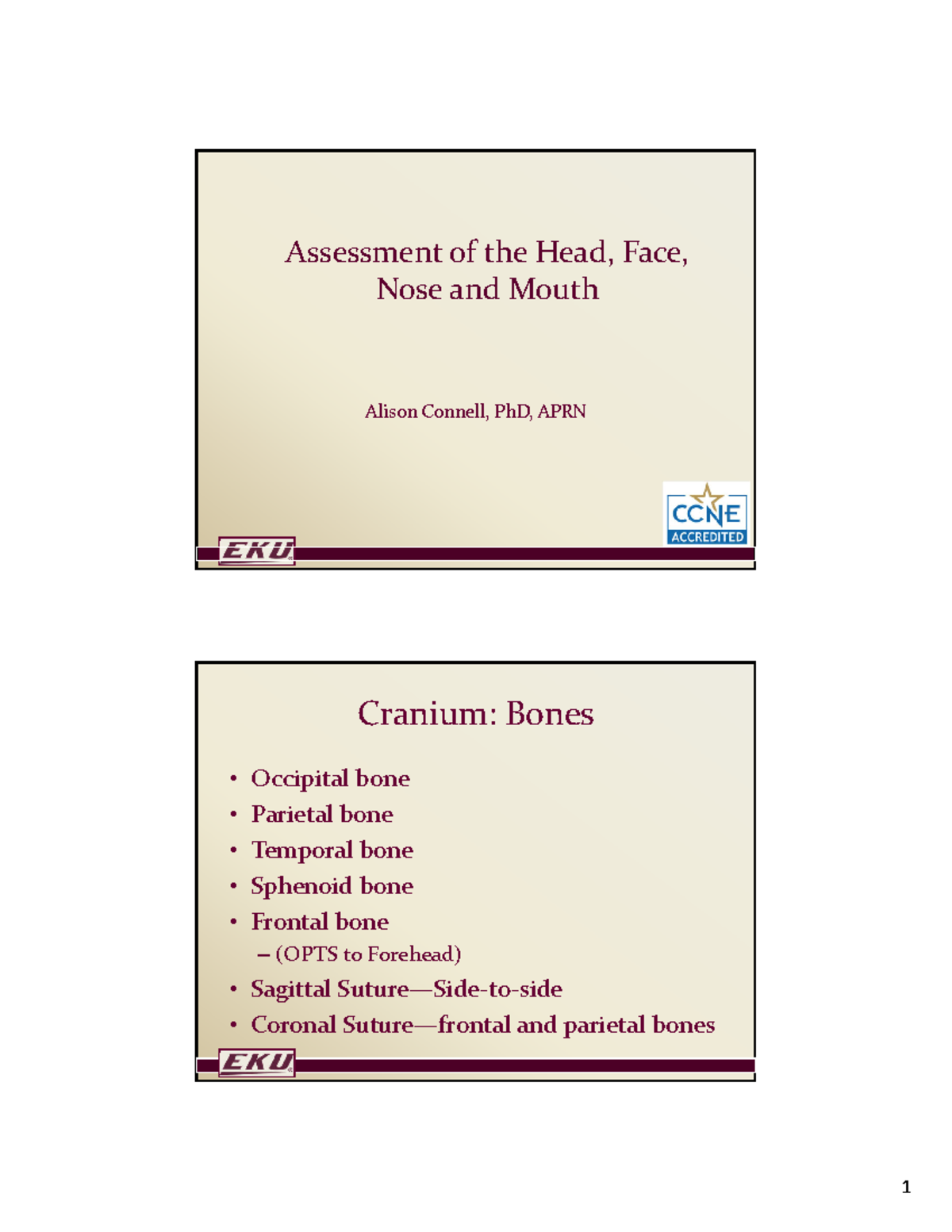 Head, Face, Nose and Mouth Handout - Assessment of the Head, Face, Nose ...