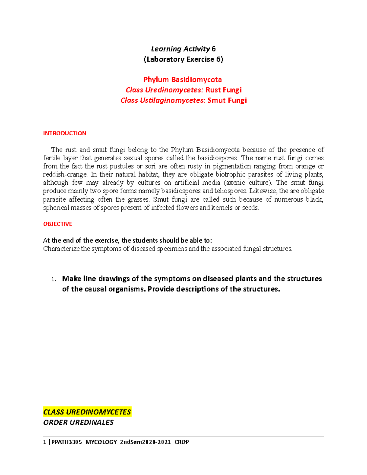Lab Activity 6. Basidiomycota - Learning Activity 6 (Laboratory Exercise 6) Phylum Basidiomycota ...