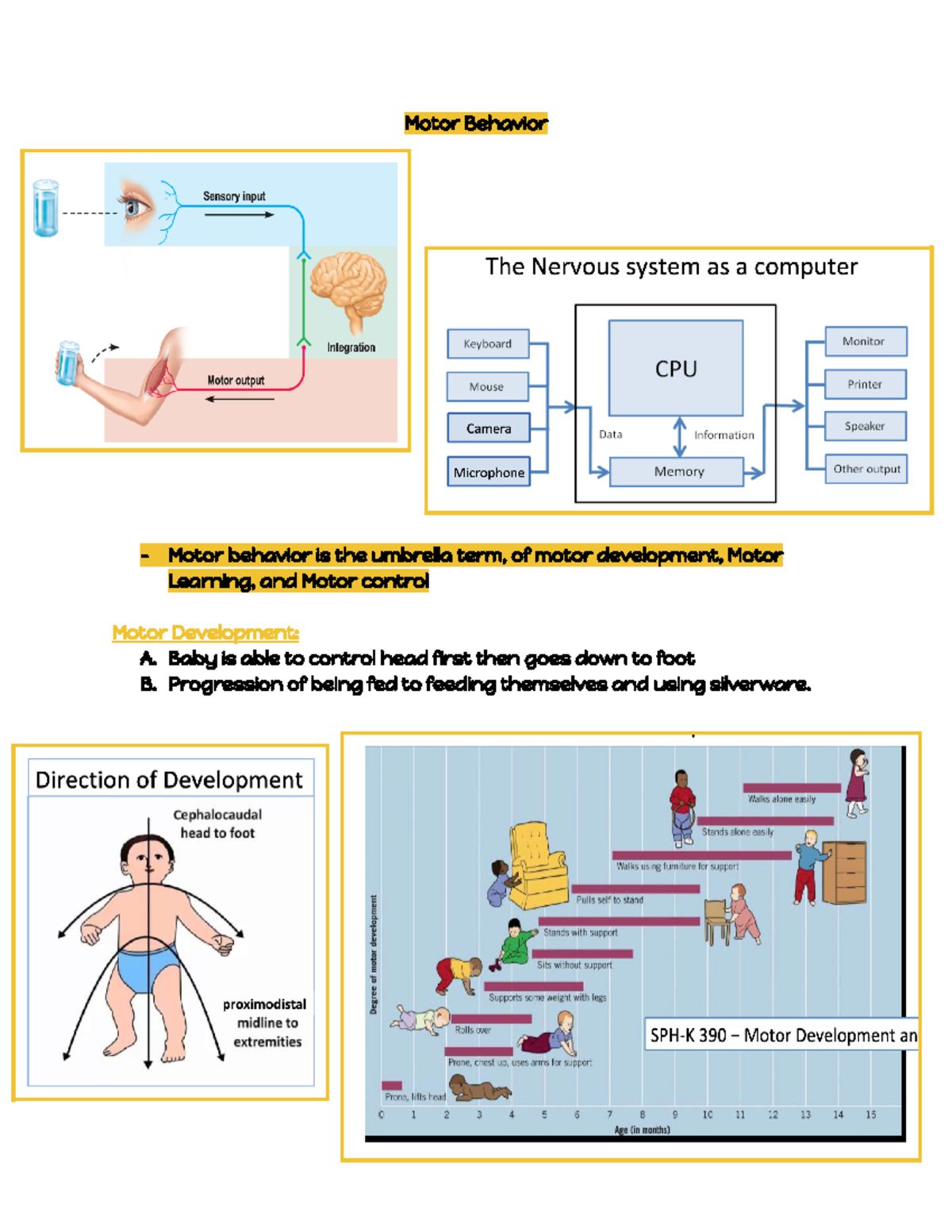 Motor Behavior - complete lecture notes - Motor Behavior Motor behavior ...