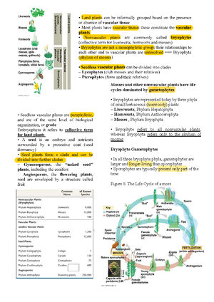Microbio Report Notes - Bacteria single-celled microorganisms that lack ...