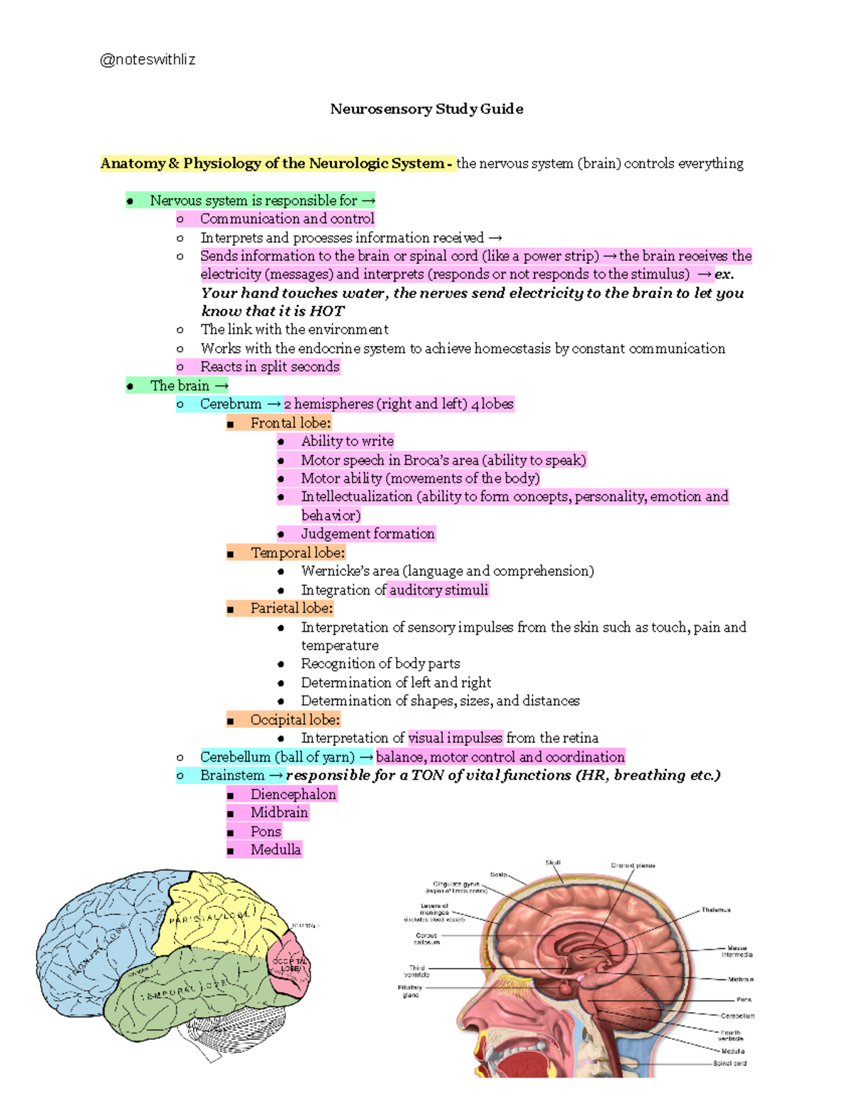 Med Surg-Neuro - Medsurg Neuro review - Neurosensory Study Guide ...