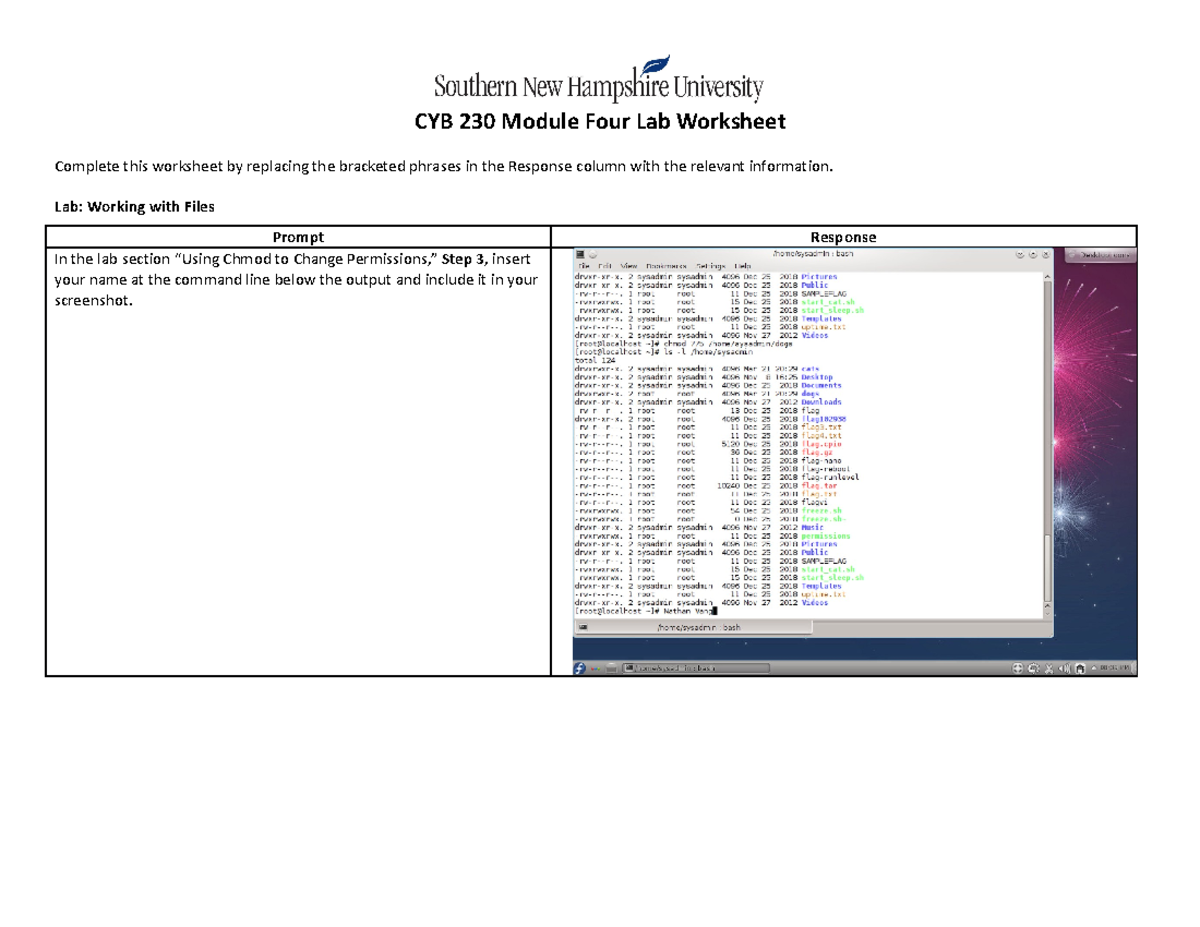 CYB 230 Module Four Lab Worksheet - CYB 230 Module Four Lab Worksheet ...