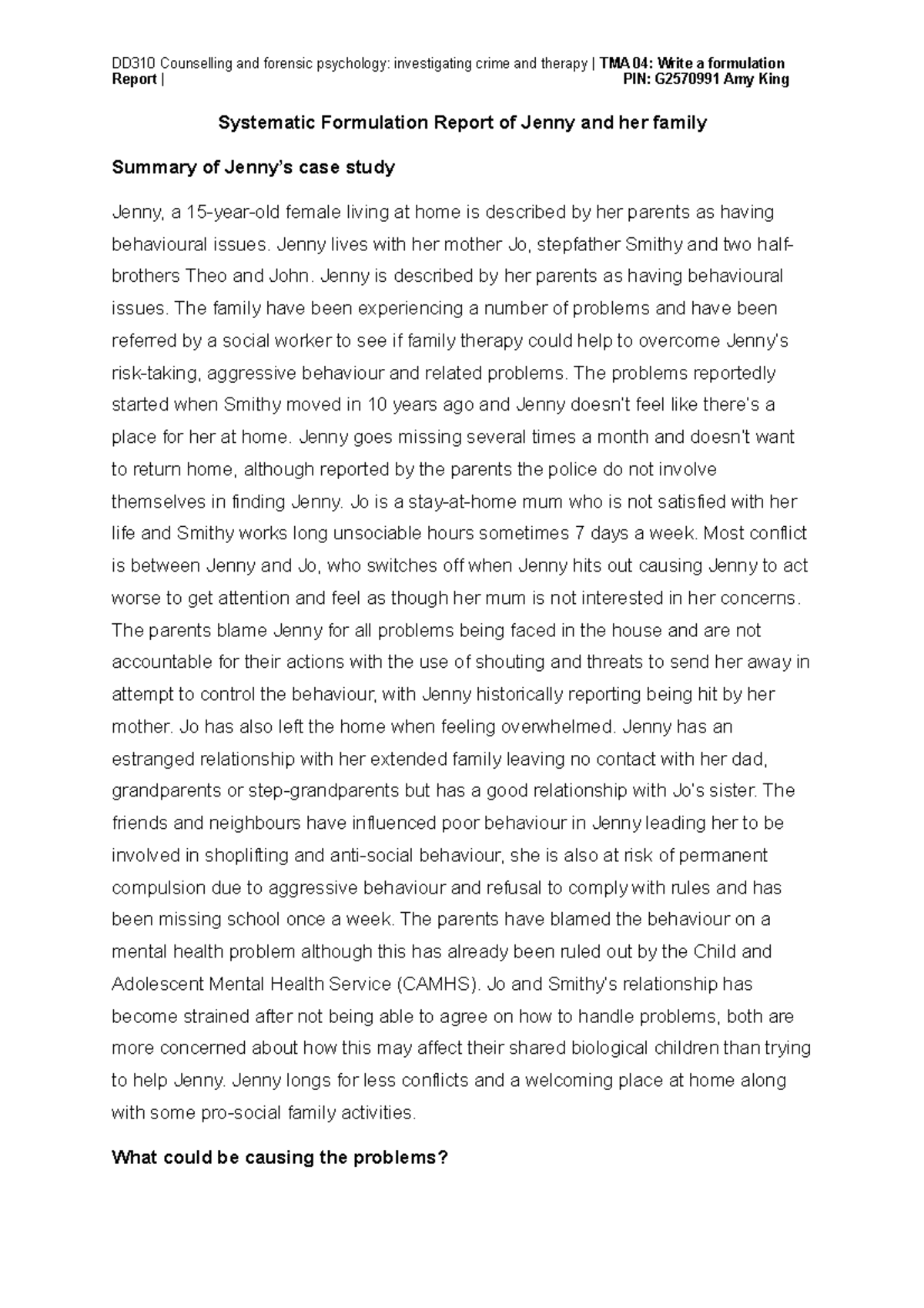 TMA 04 Assessment Amy King - Systematic Formulation Report of Jenny and ...