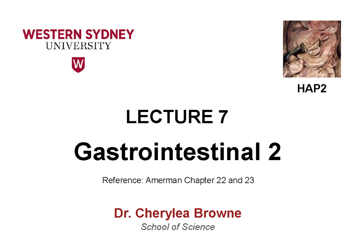 Lecture 7 - Gastrointestinal System 2 - HAP LECTURE 7 Gastrointestinal ...