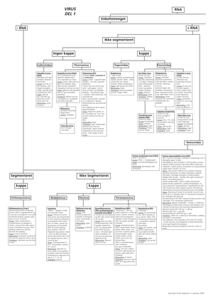 Ortopædkirurgiske Sygdomme 1 - ORTOPÆDKIRURGISKE SYGDOMME ALMEN ...