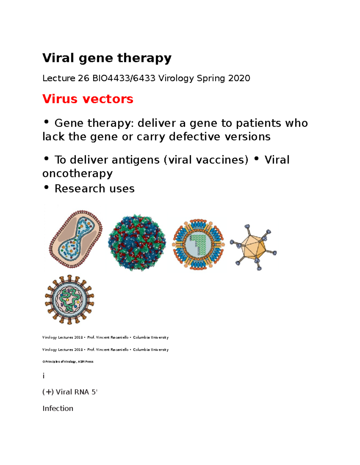 Virology 26 - Lecture notes 26 - Viral gene therapy Lecture 26 BIO4433 ...