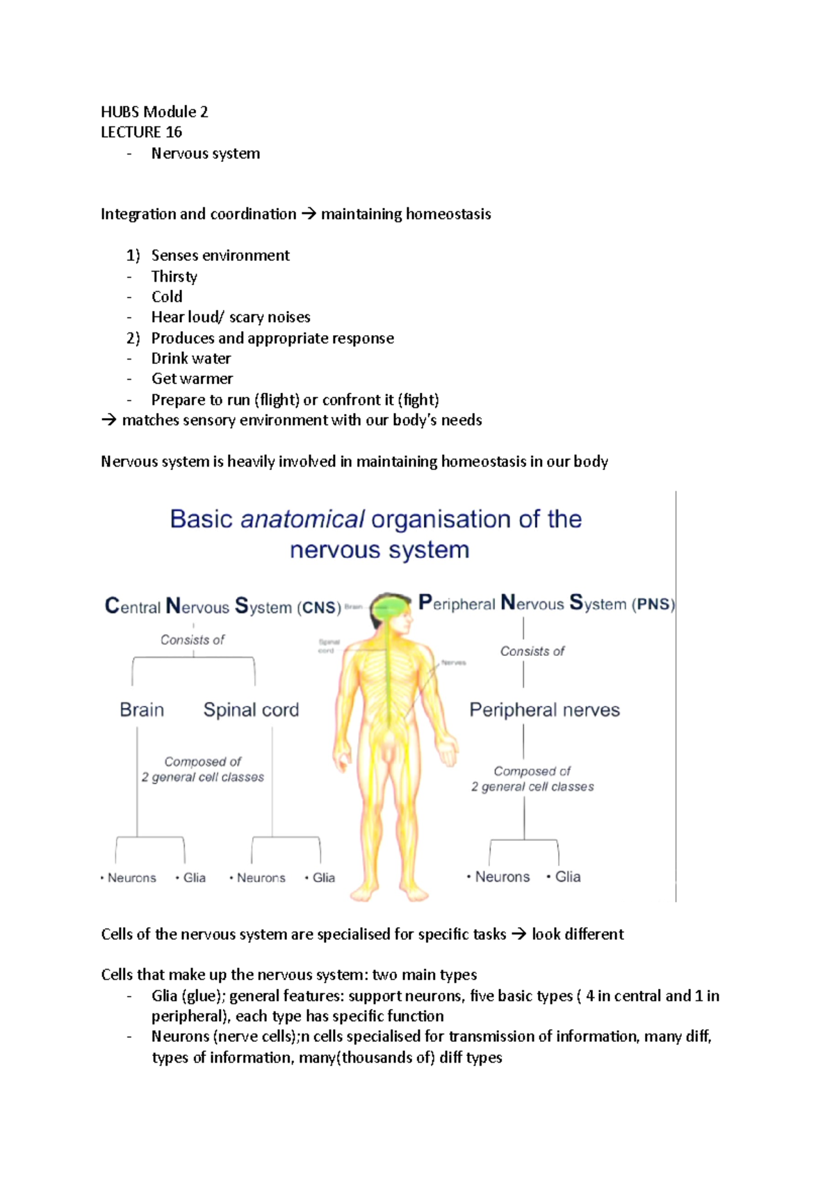 HUBS Module 2 - Lecture notes L16-30 - HUBS Module 2 LECTURE 16 ...