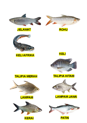 Tapak RPH Tasmik 2024-2025 - Pendidikan Seni Visual - 23/4/ - - Studocu