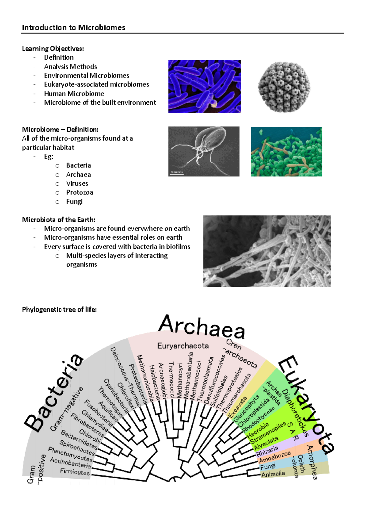Lecture 4 - Introduction to Microbiomes copy - Introduction to ...