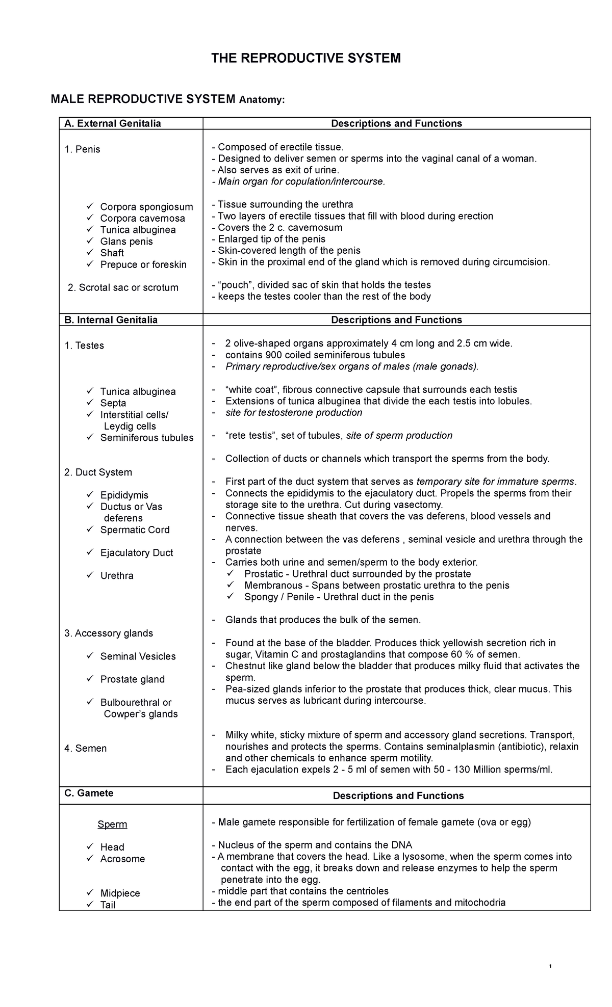 OB Notesssss - NOTES OB - THE REPRODUCTIVE SYSTEM MALE REPRODUCTIVE ...