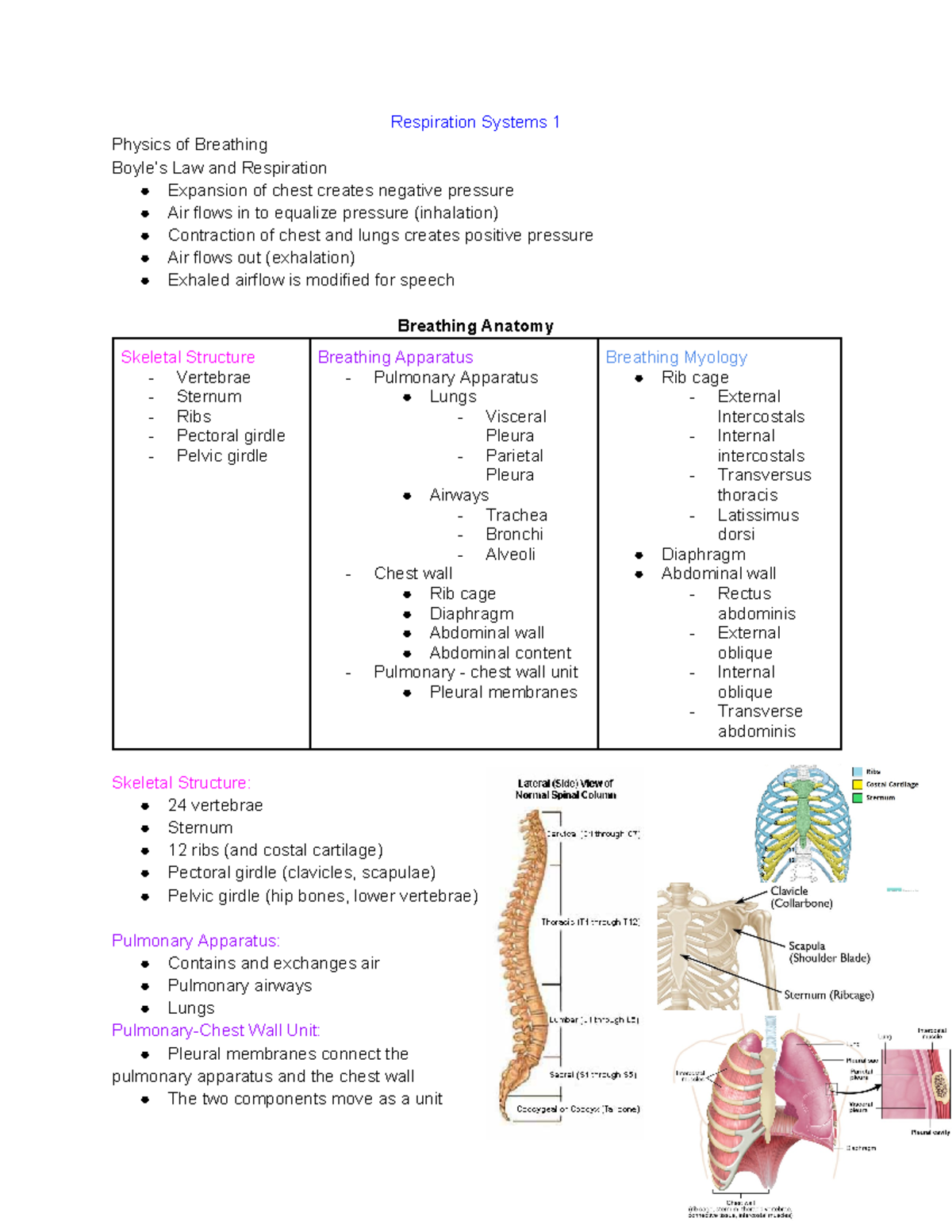 Respiration Part One - Respiration Systems 1 Physics of Breathing Boyle ...