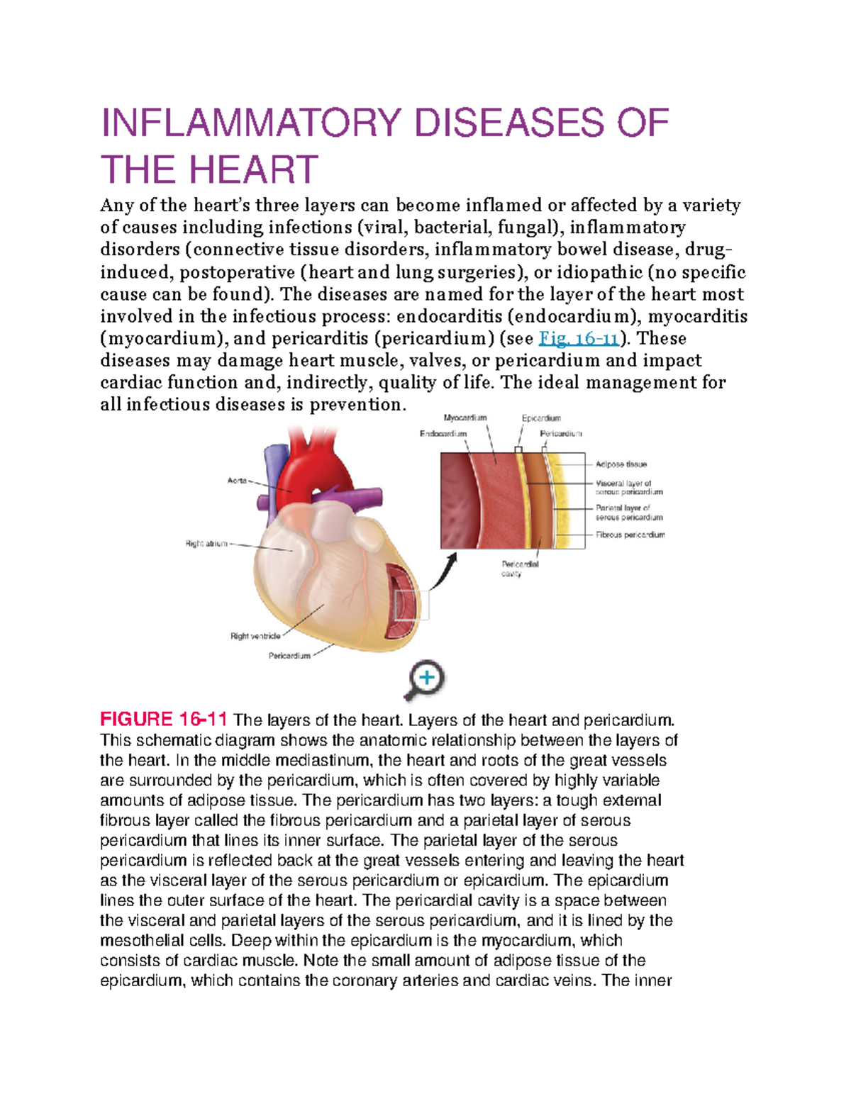 Inflammatory Diseases OF THE Heart - INFLAMMATORY DISEASES OF THE HEART ...