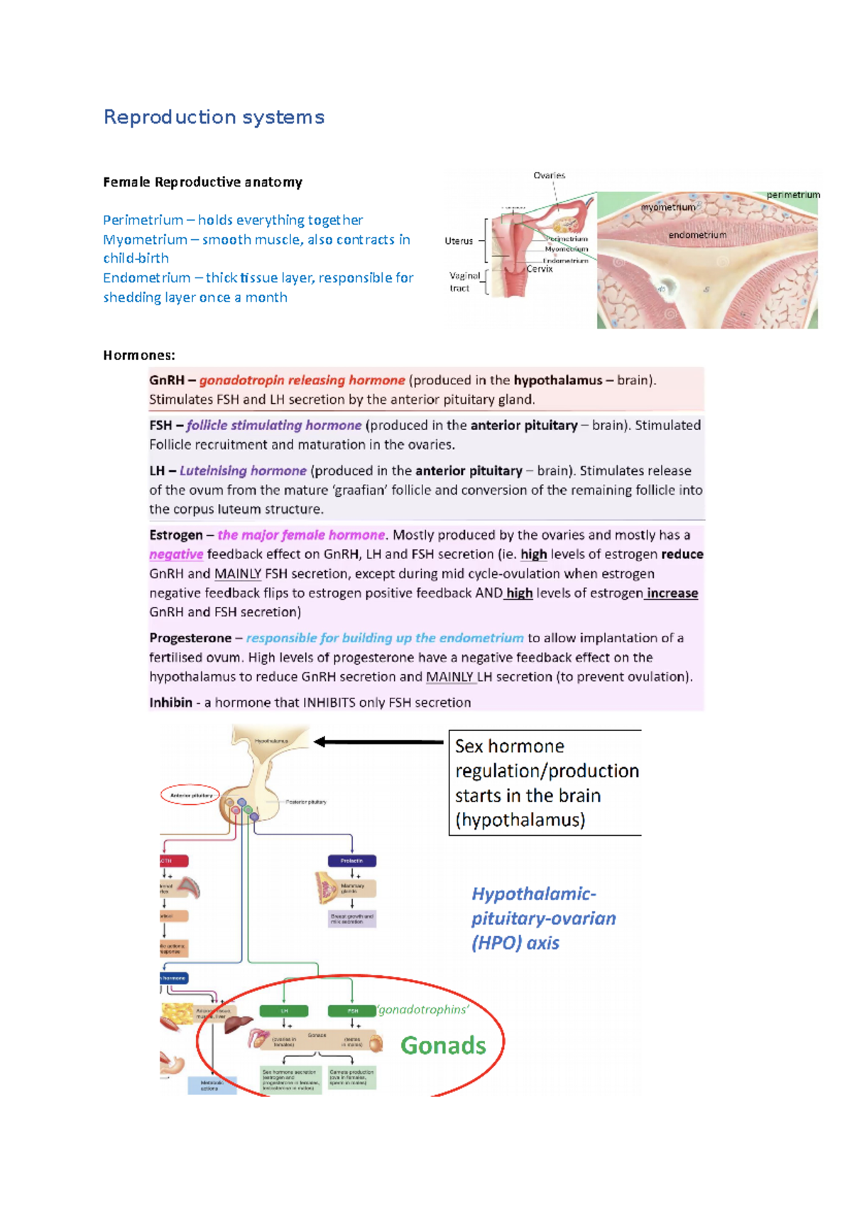 Reproduction systems - Reproduction systems Female Reproductive anatomy ...