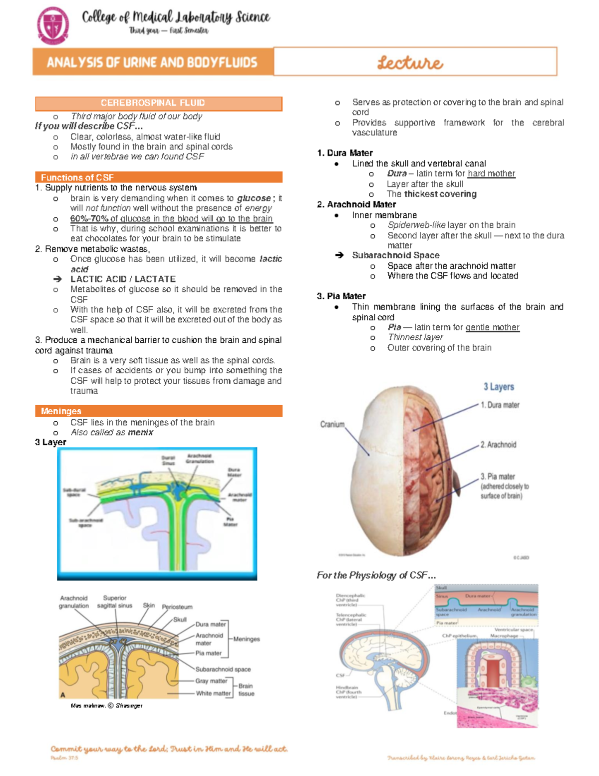 AUB F Midterms WEEK 9 (CSF) pdf - CEREBROSPINAL FLUID o Third major ...