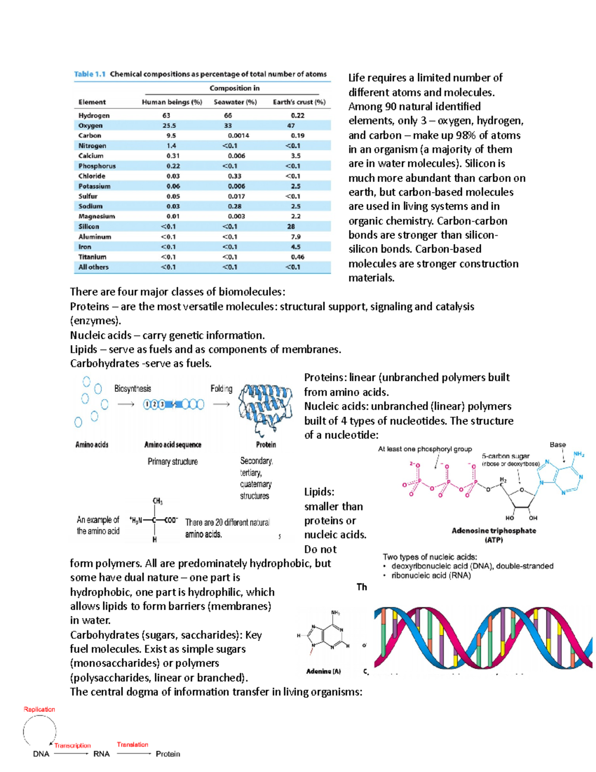 Biochemistry - lecture notes - Life requires a limited number of ...