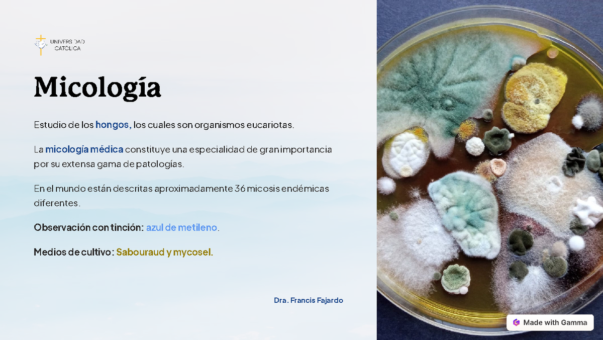 Micologia-1 - Micología Estudio de los hongos, los cuales son ...