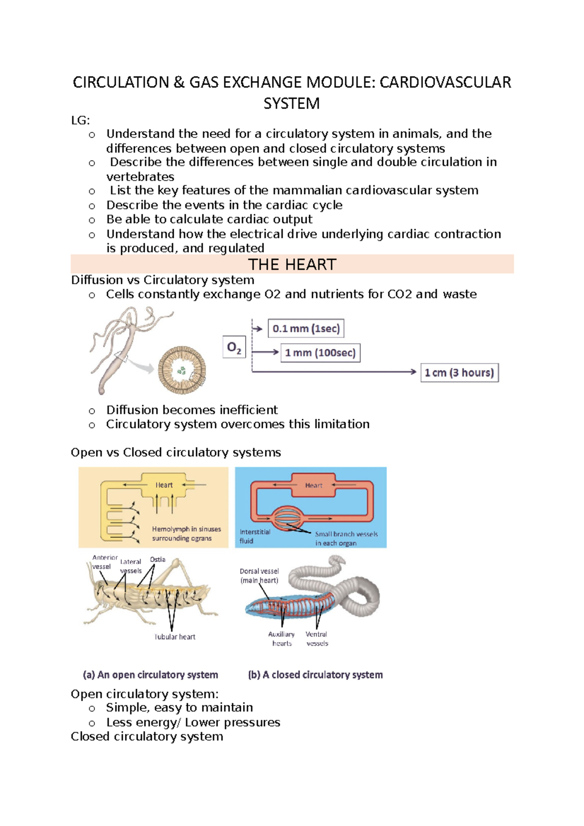 LEC- THE Heart - lec notes - CIRCULATION & GAS EXCHANGE MODULE ...