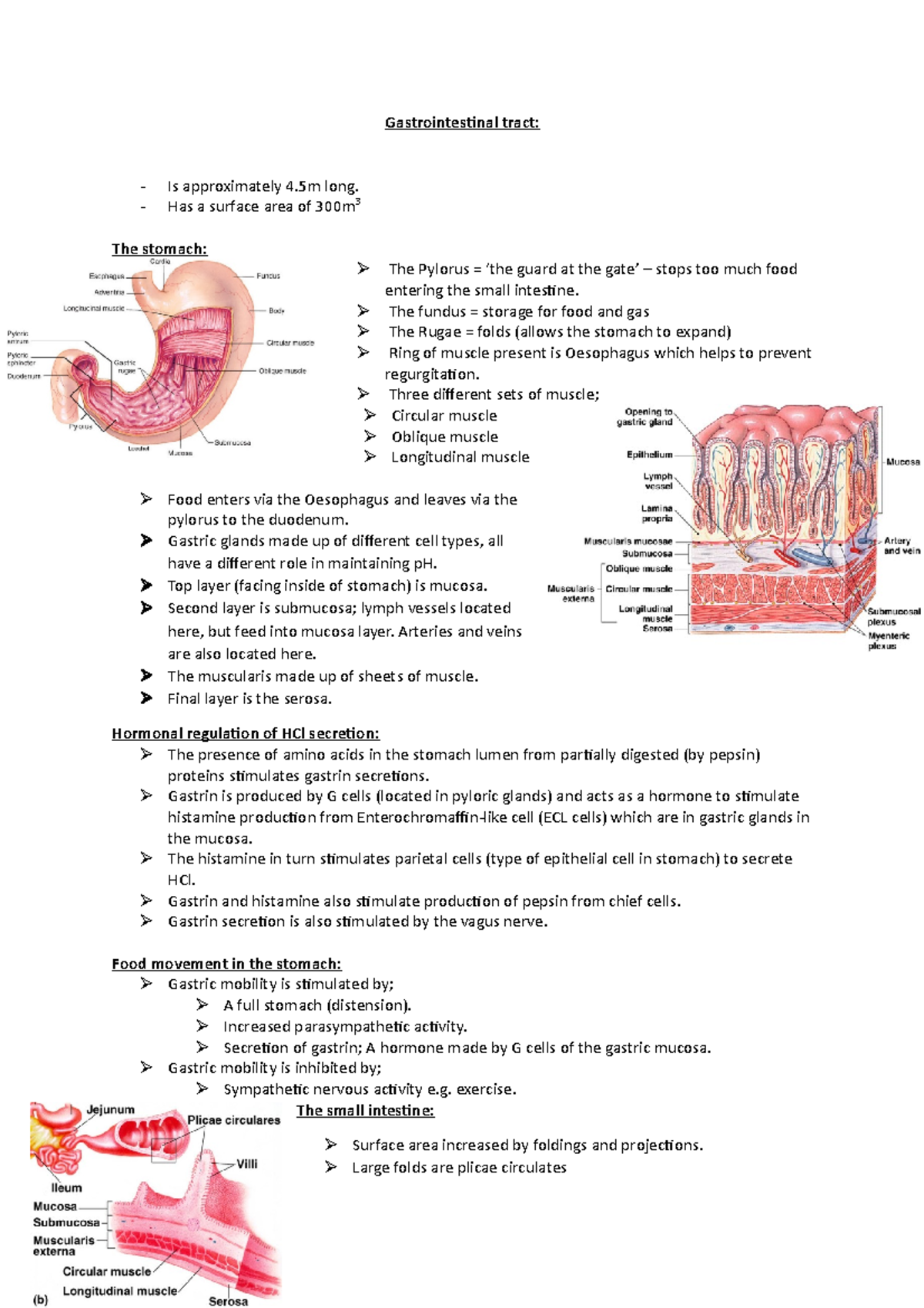 Gastrointestinal tract - Gastrointesinal tract: Is approximately 4 long ...