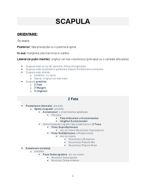 Anatomie curs - Capul și gâtul reprezintă extremitatea cefalică sau ...