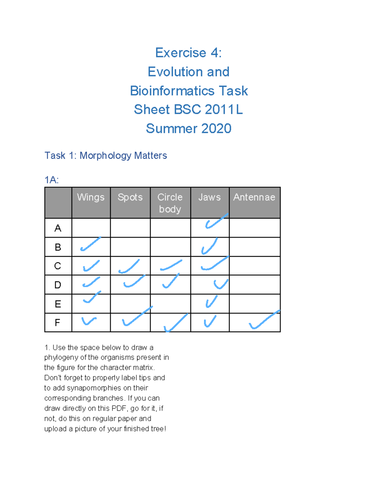 Exercise 4 Task Sheet (1) 2 - Exercise 4: Evolution and Bioinformatics ...