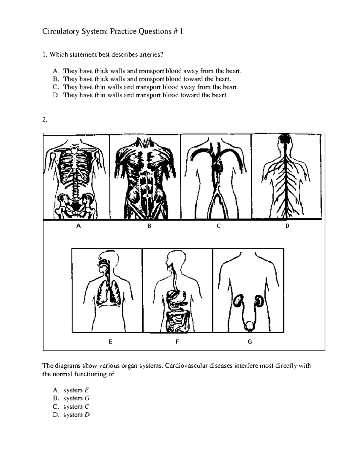 Practice Questions 1 Circulatory - Circulatory System: Practice ...