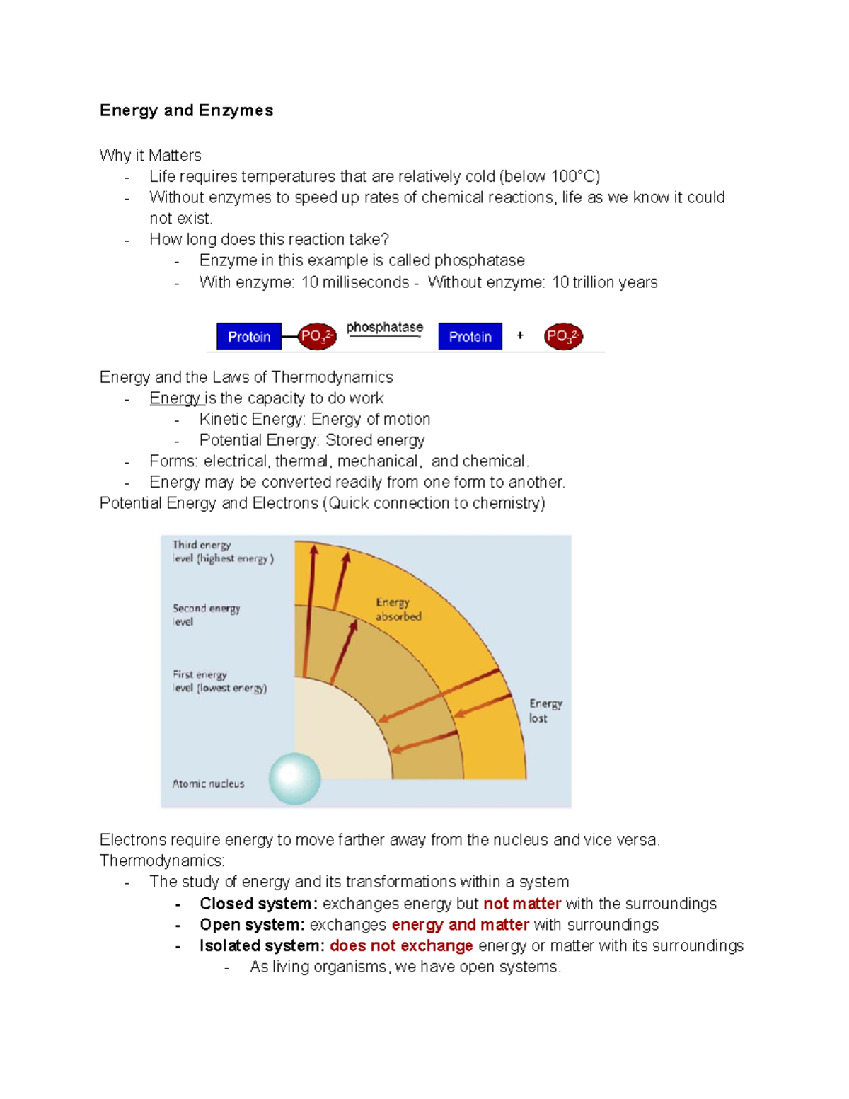 Chapter 3 - Energy and Enzymes - Energy and Enzymes Why it Matters ...