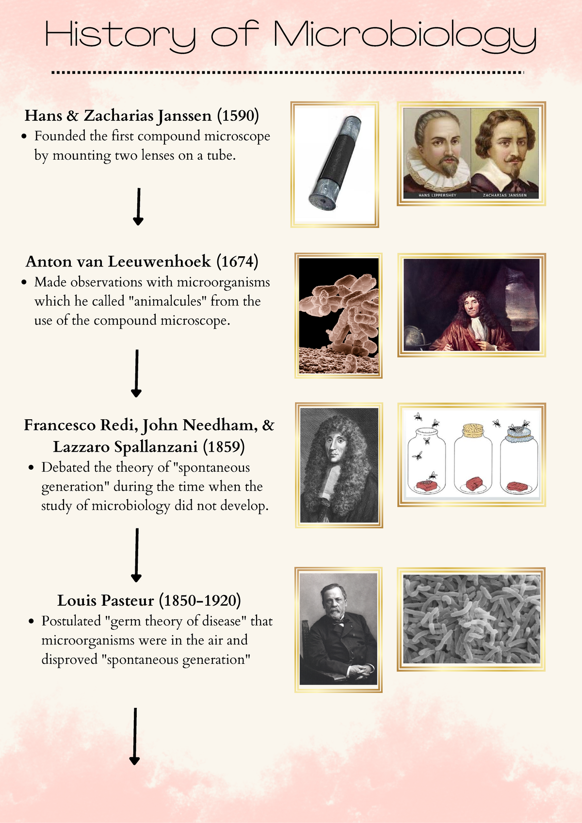 RUIZ M1L1 Post Task - Microbiology Module 1 work - History of ...