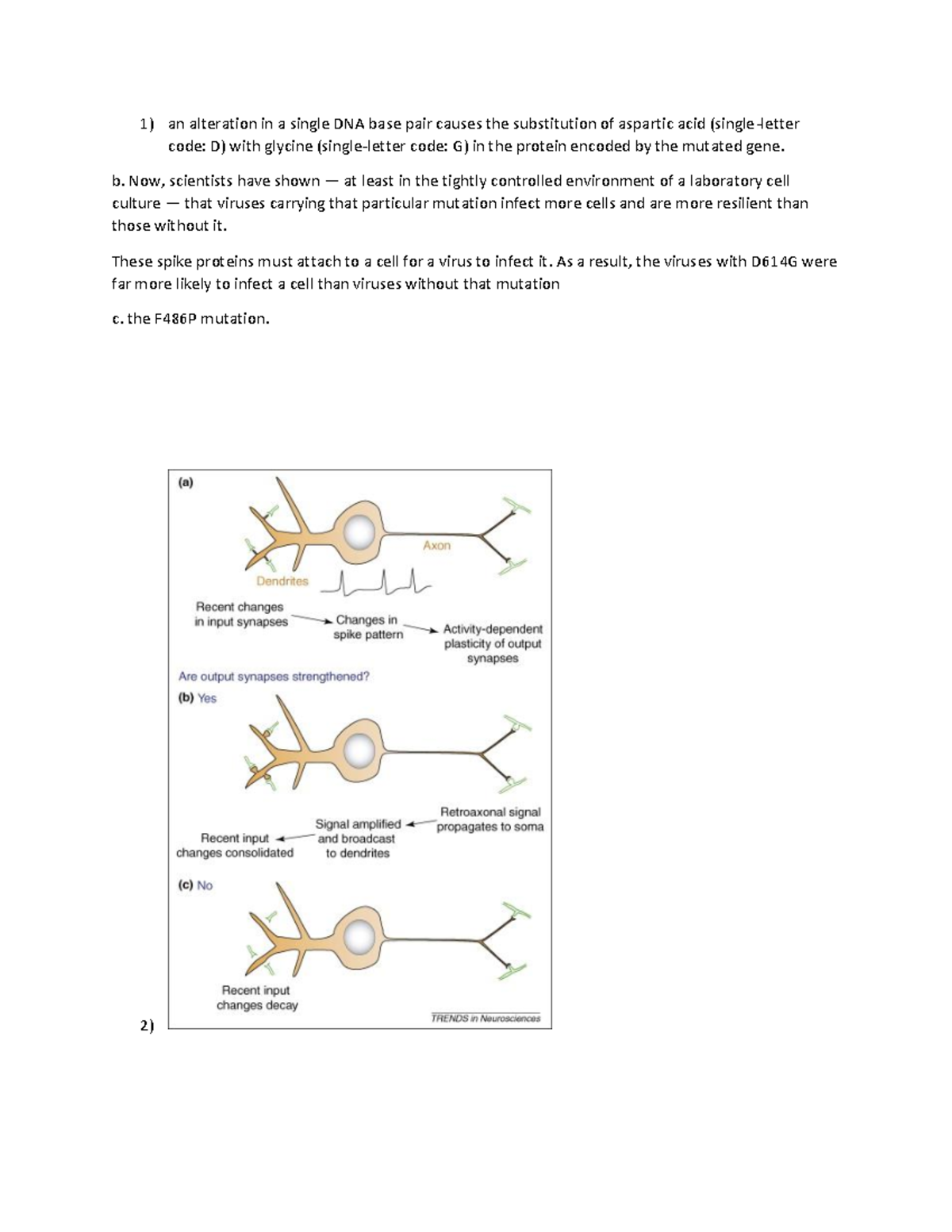 Extra credit genetics - 1) an alteration in a single DNA base pair ...