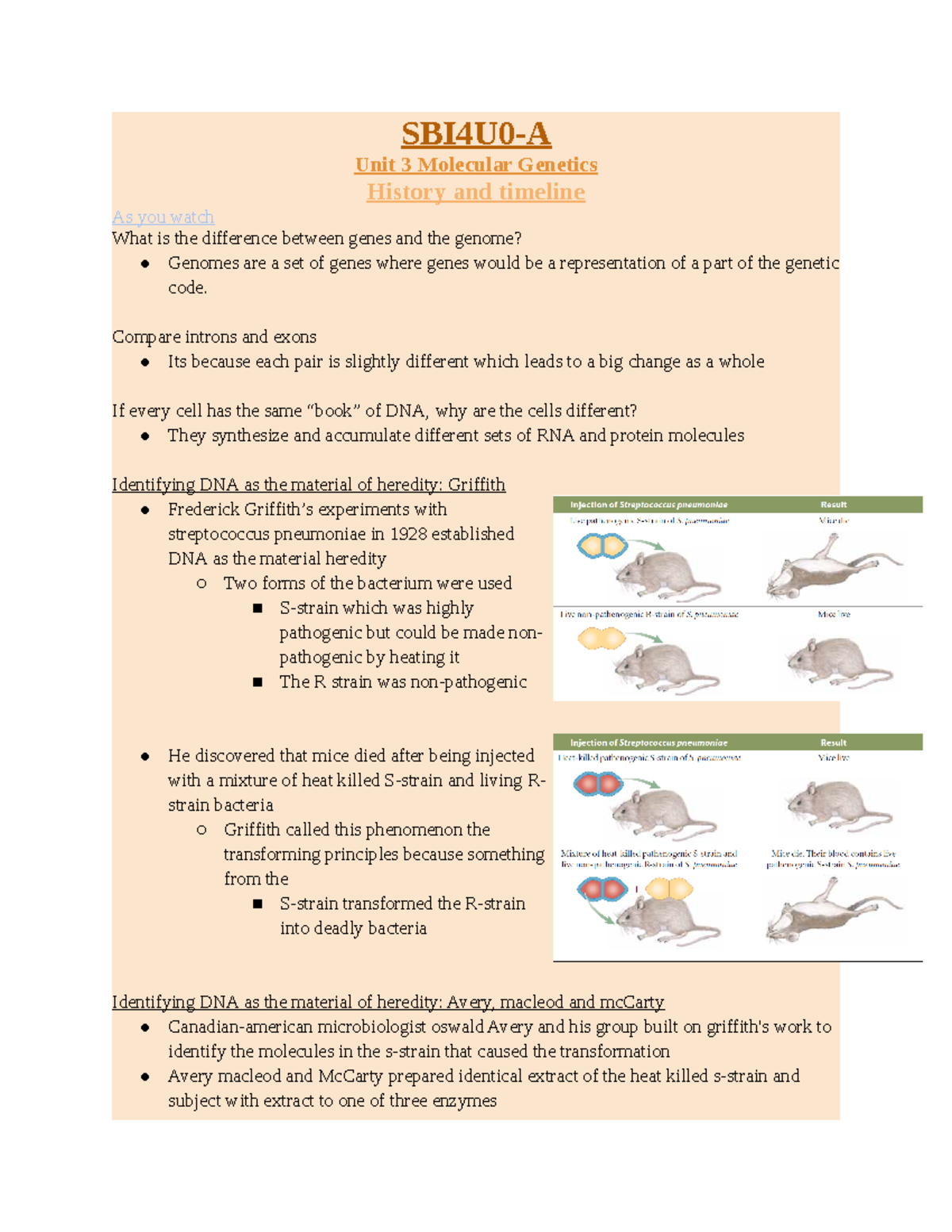 SBI4U0 Unit 3 theory Notes - SBI4U0-A Unit 3 Molecular Genetics History ...