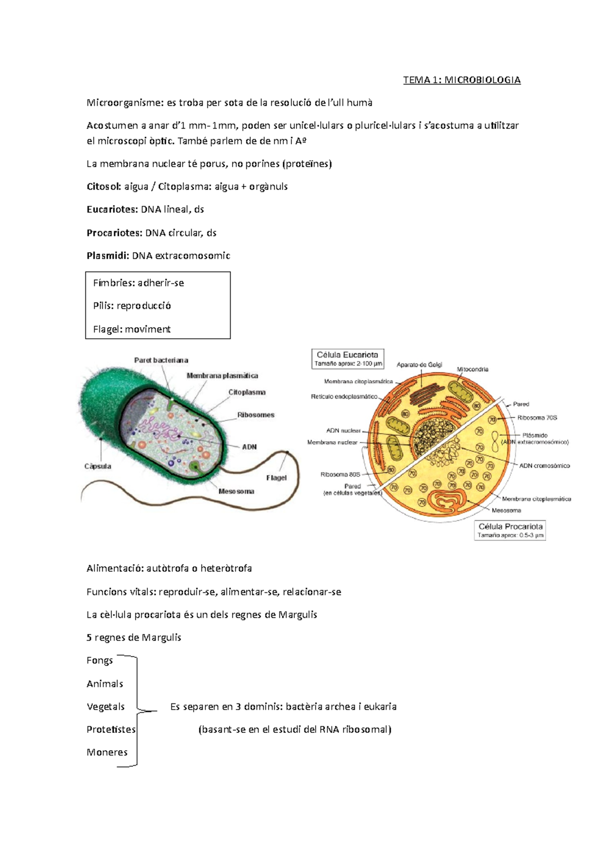 Microbiologia - TEMA 1: MICROBIOLOGIA Microorganisme: es troba per sota ...