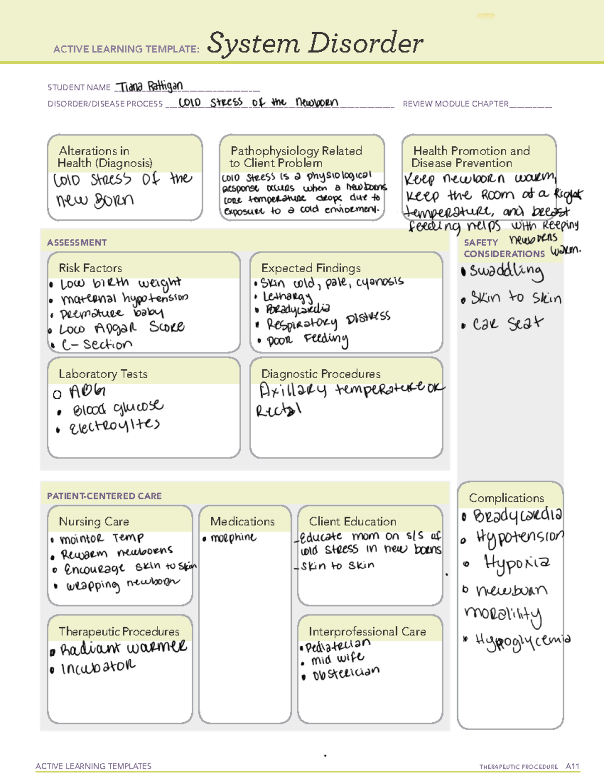 Active Learning Template sys Dis - ACTIVE LEARNING TEMPLATES ...