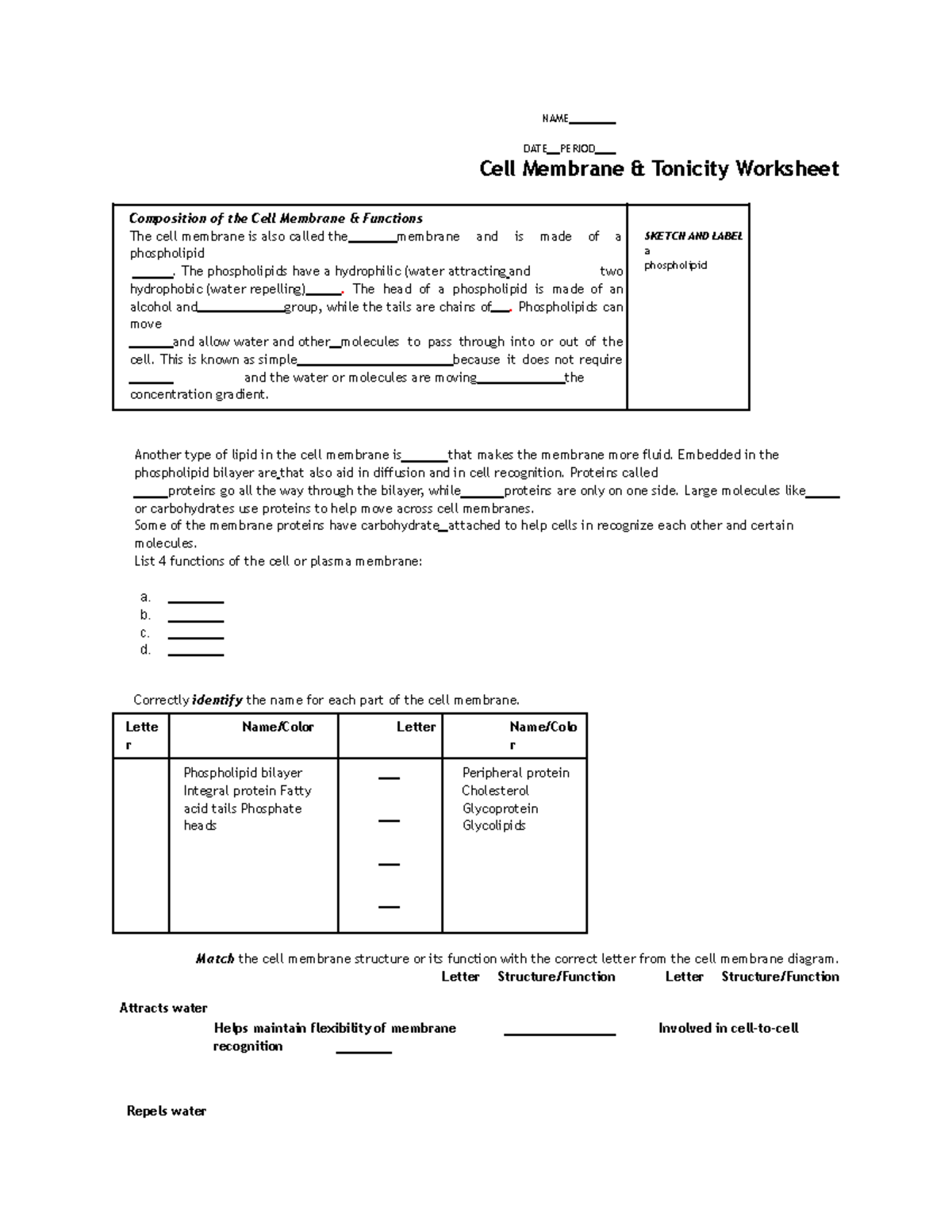 Bio worksheet - ..... - NAME DATE PERIOD Cell Membrane & Tonicity ...