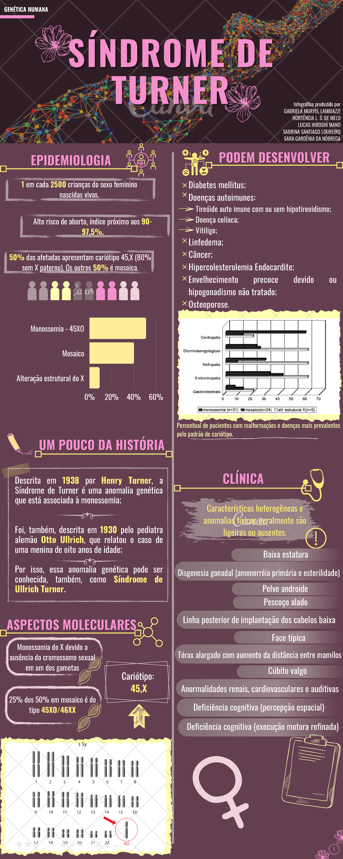 Síndrome DE Turner - 0% 20% 40% 60% Monossomia - 45XO Mosaico Alteração ...
