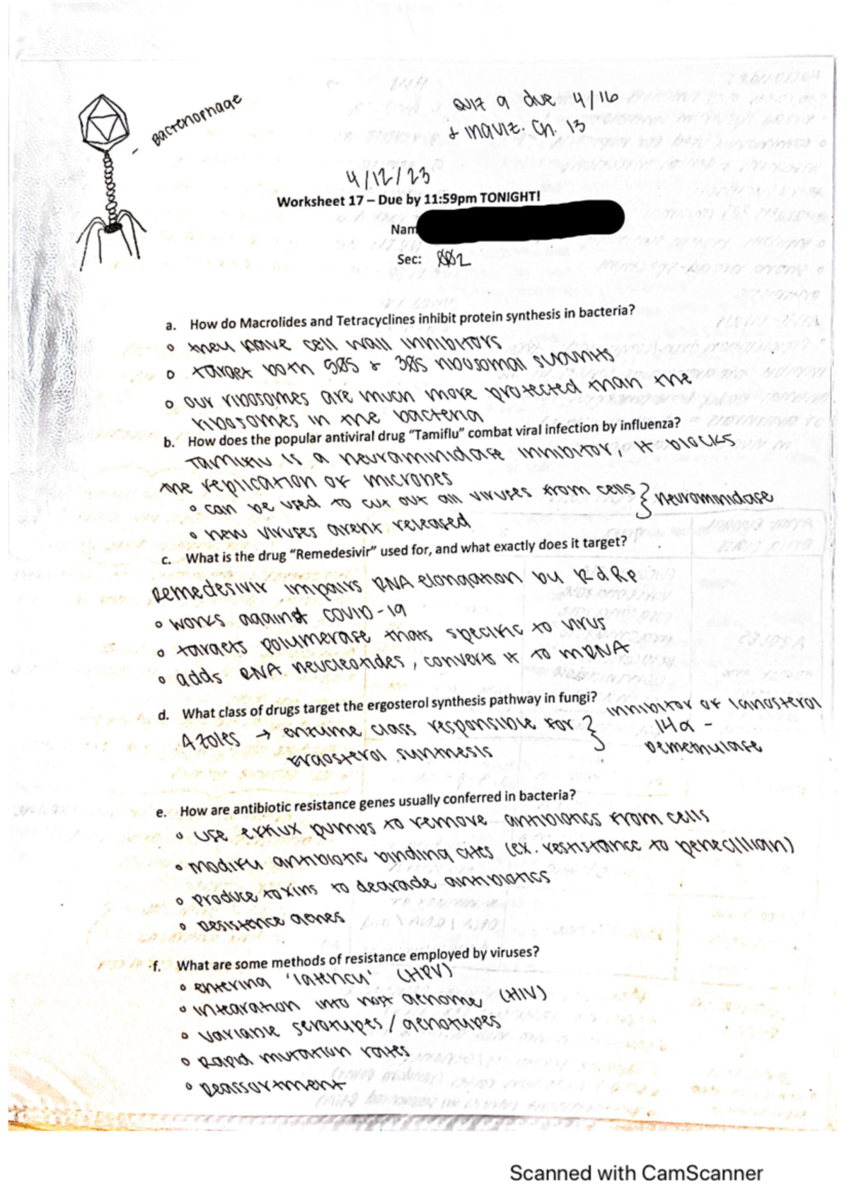 BIO205 inclass worksheet 17 and lecture notes - BIO 205 - Studocu