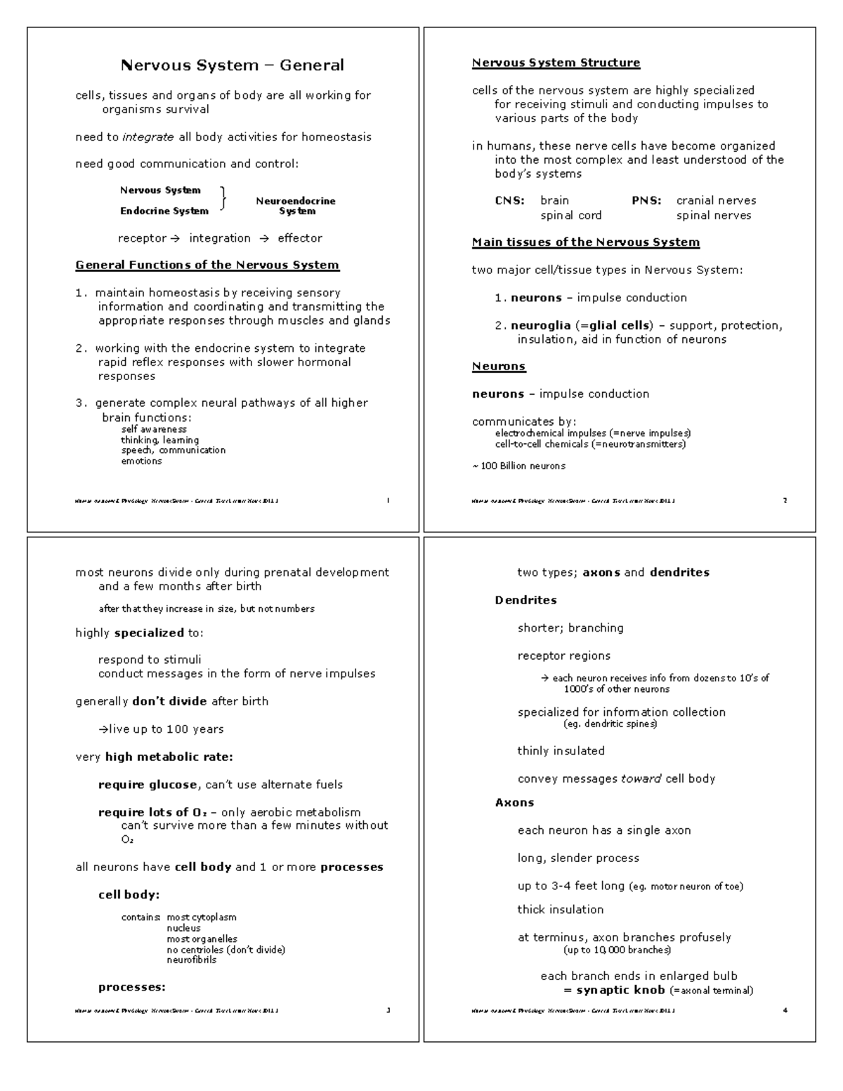 E.Nervous System - 2404 overview - Human Anatomy & Physiology: Nervous ...
